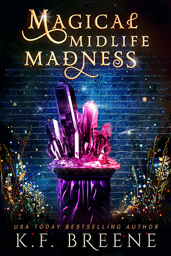 Magical Midlife Madness | Book 1, Leveling Up Series| Paranormal Women ...